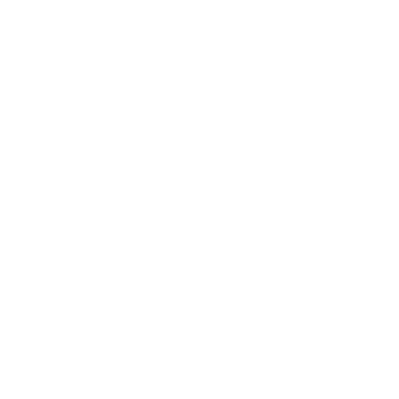 Team - ZANN Commercial